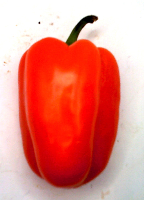 Pimiento Morron Rojo Premium – Hiper Abasto